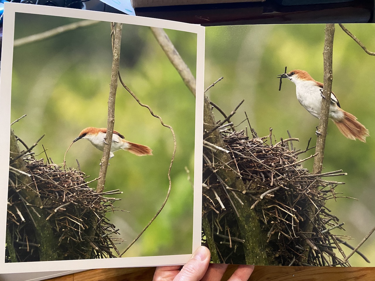 Blog | Rob Knight Photo Adventures